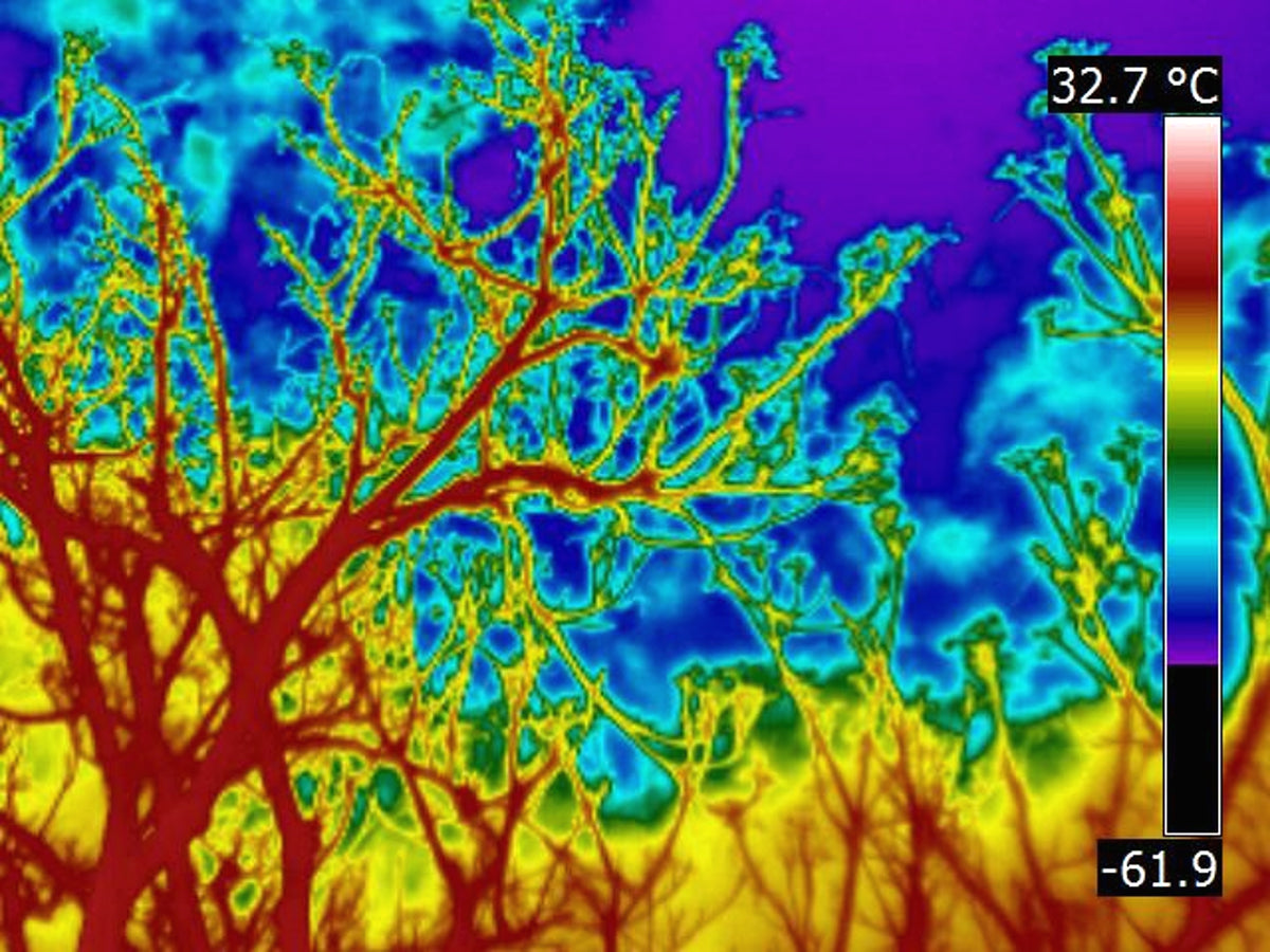 THERMAL IMAGING CAMERAS FOR WILDLIFE