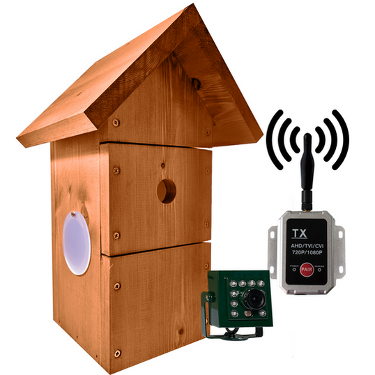 Bird Box Cameras